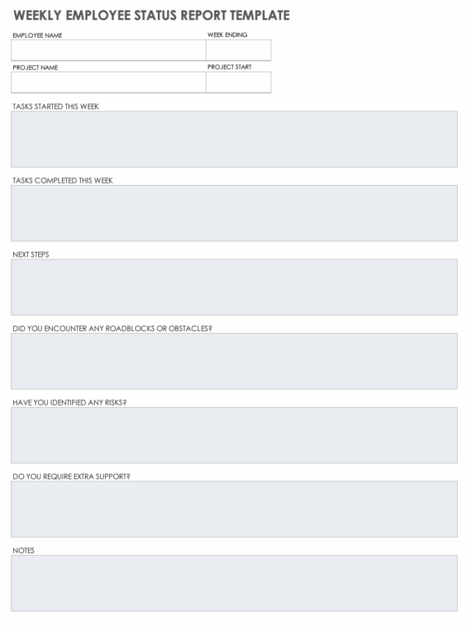 Employee Work Status Report Template