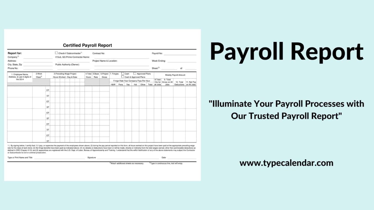 Self Employed Payroll Report Template