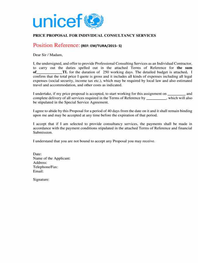 Un Consultant Financial Proposal Template